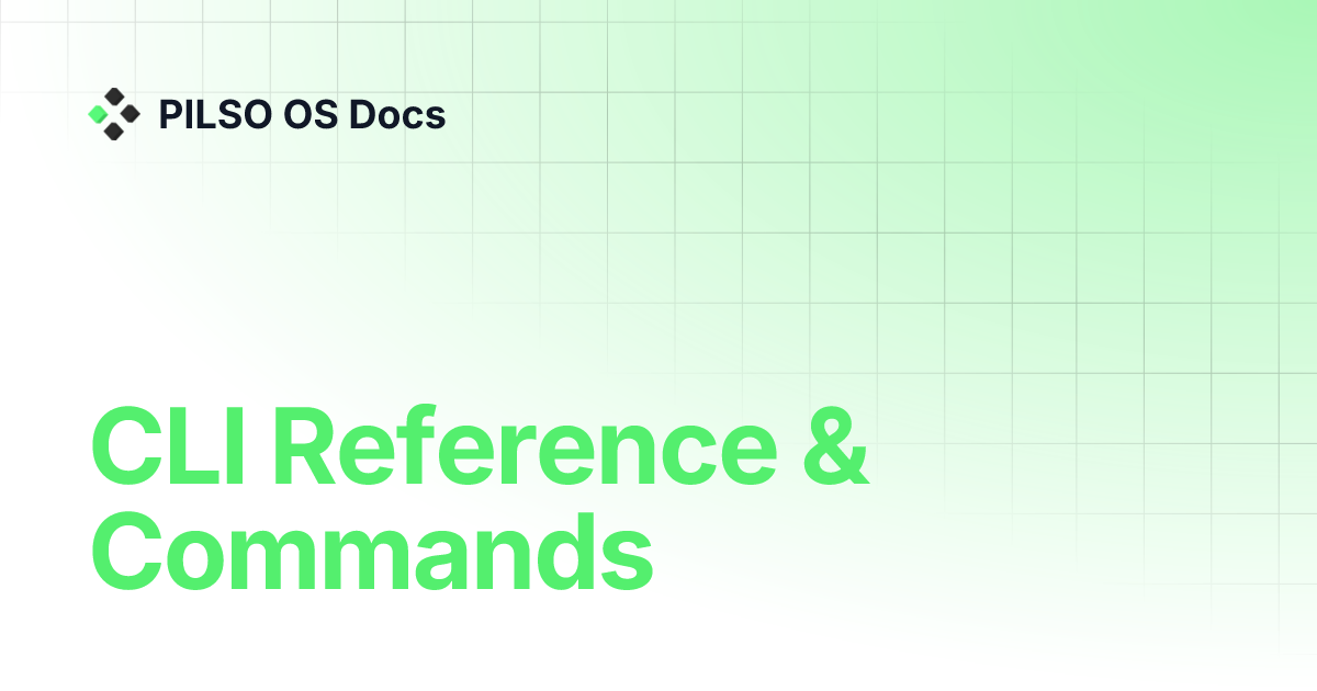 CLI Reference & Commands | PILSO OS Docs